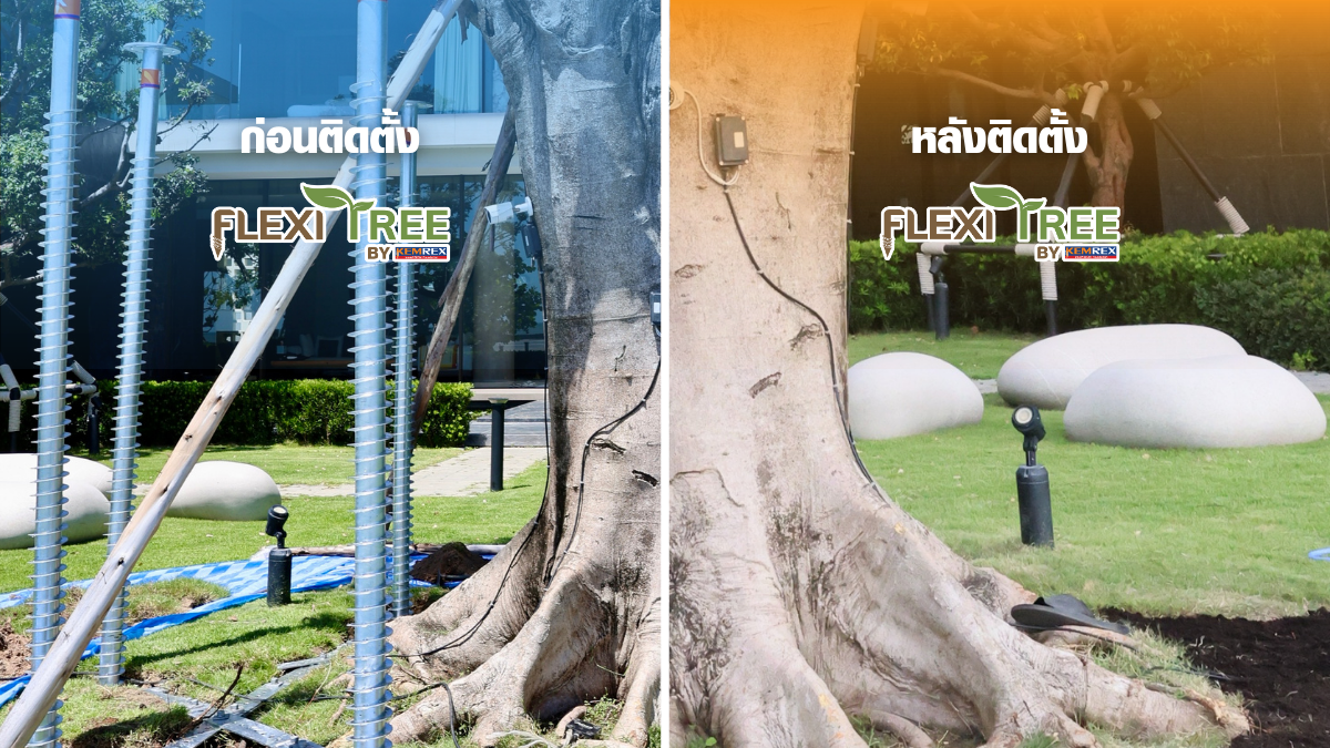 Belt Model | FLEXI TREE